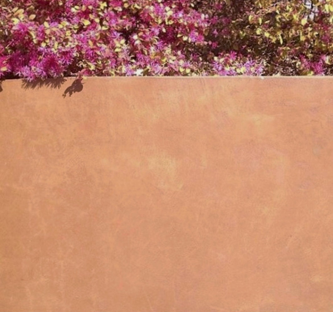 Color Atelier | How to apply lime wash paint on exterior walls