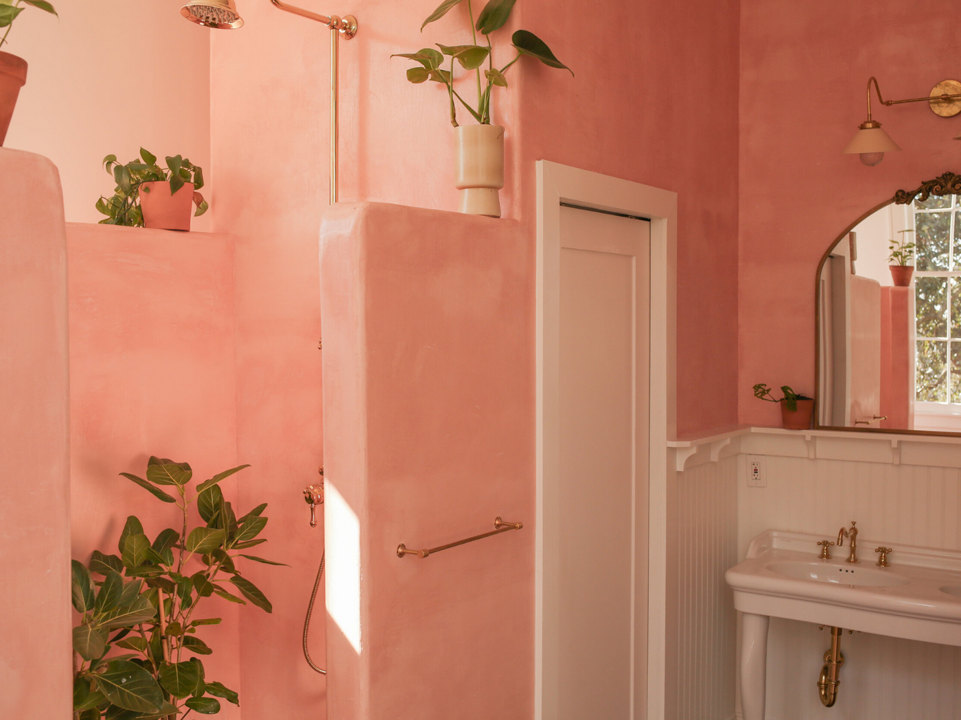 Color Atelier Lime Paint & Plaster | United States