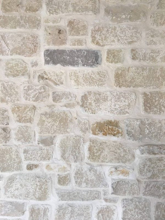 Lime Slurry| Color Atelier Paint & Plaster