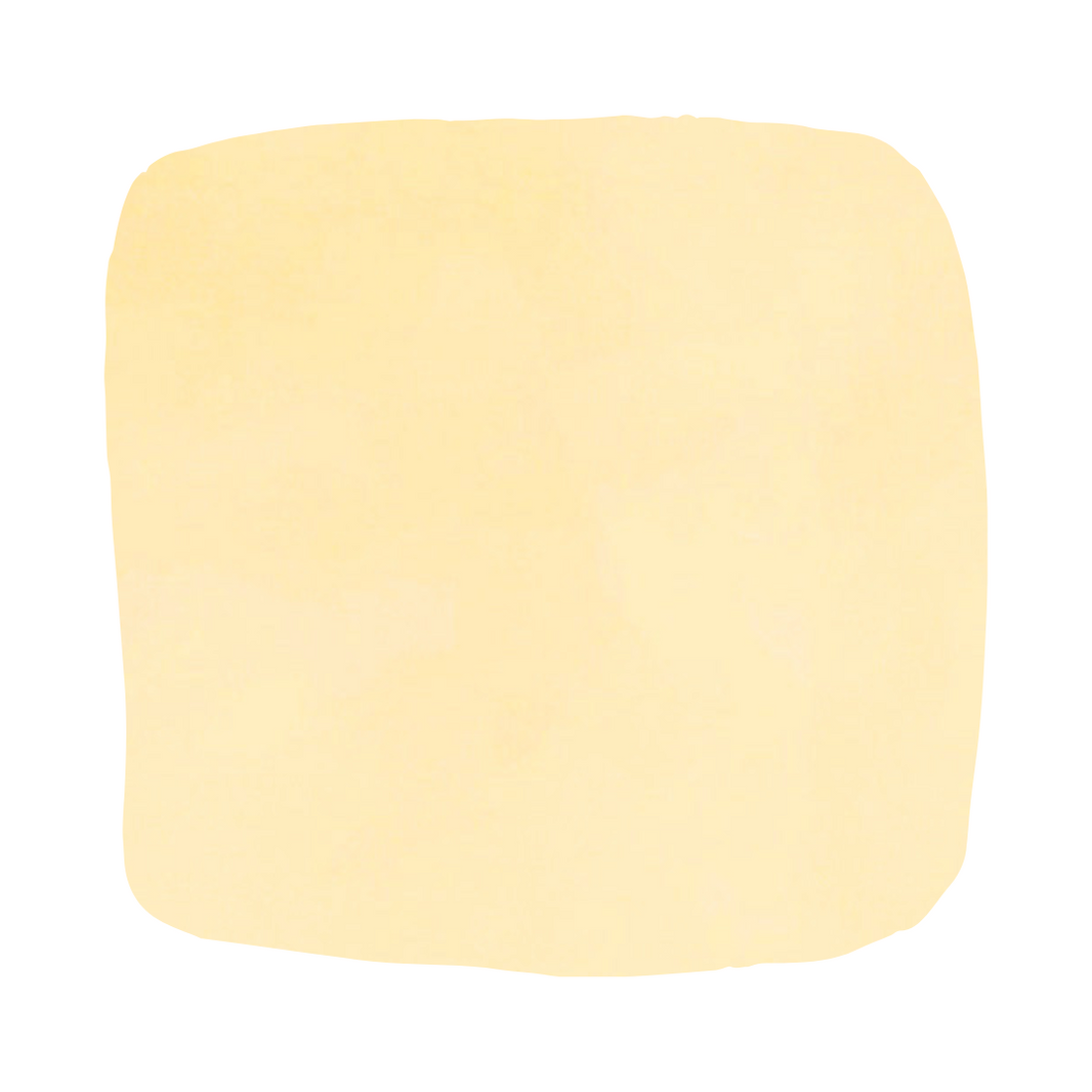 Color Atelier | Lime Wash Paint | Light Custard