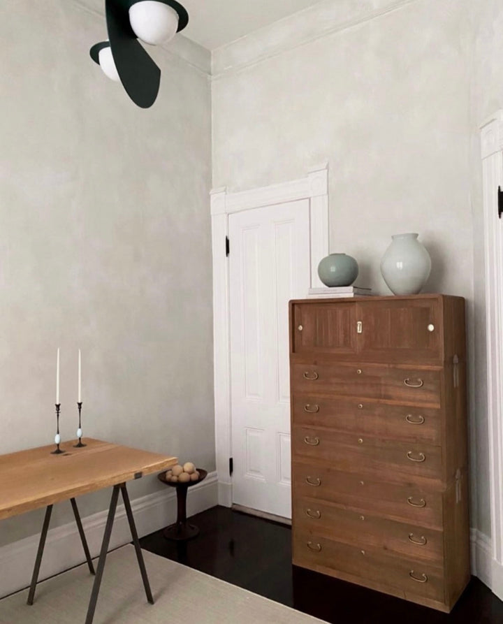 Color Atelier Paint & Plaster | Project Gallery of Lime Wash Paint