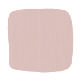 Rabbit's Tongue | Douglas Friedman | Color Atelier Limewash Paint
