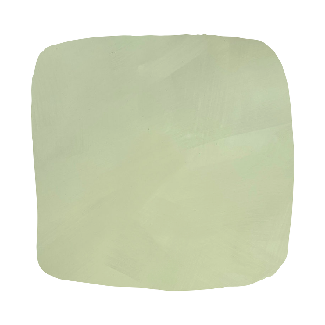 Color Atelier | Lime Wash Paint | Vetiver