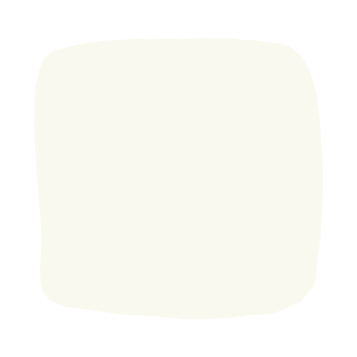 Color Atelier | Lime Paint | Eco-Friendly Paint