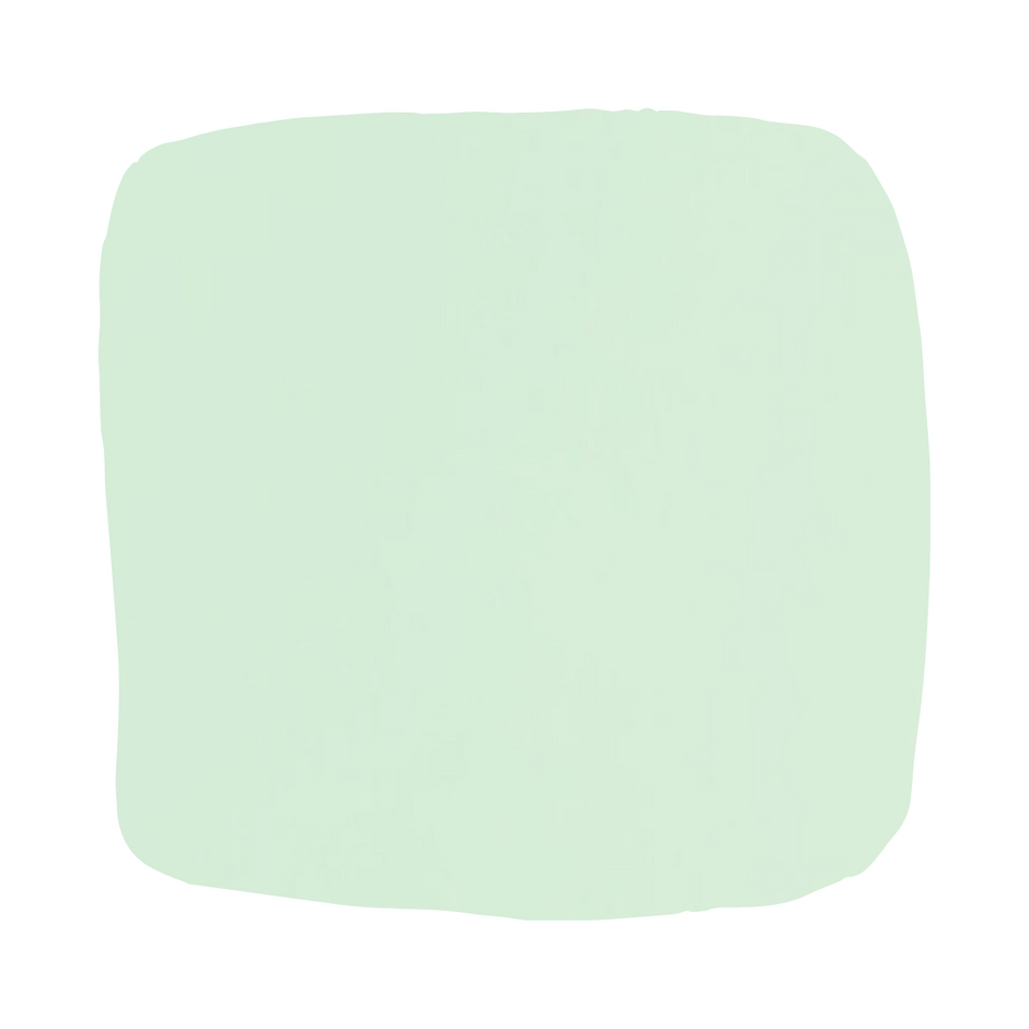 Color Atelier | Lime Wash Paint | Minted