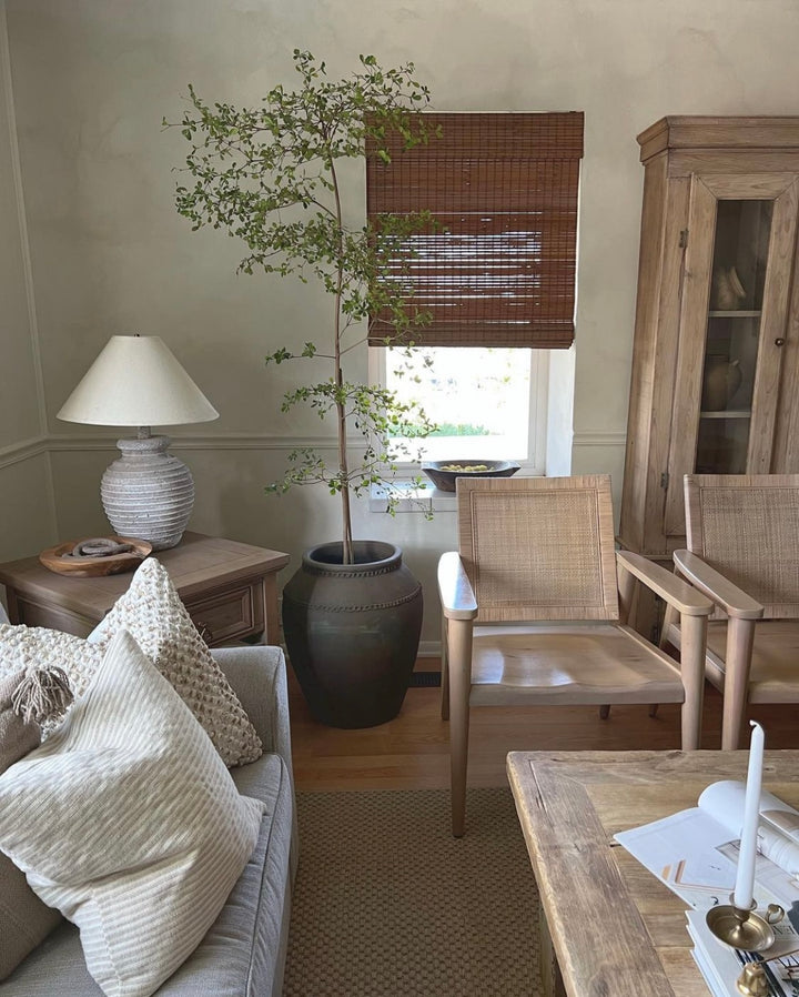 Color Atelier | Lime Wash Paint | Cavalier