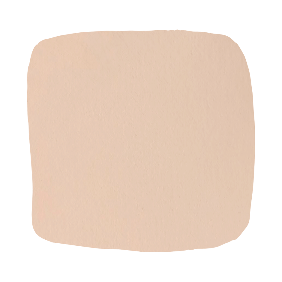 Color Atelier | Lime Wash Paint | Native