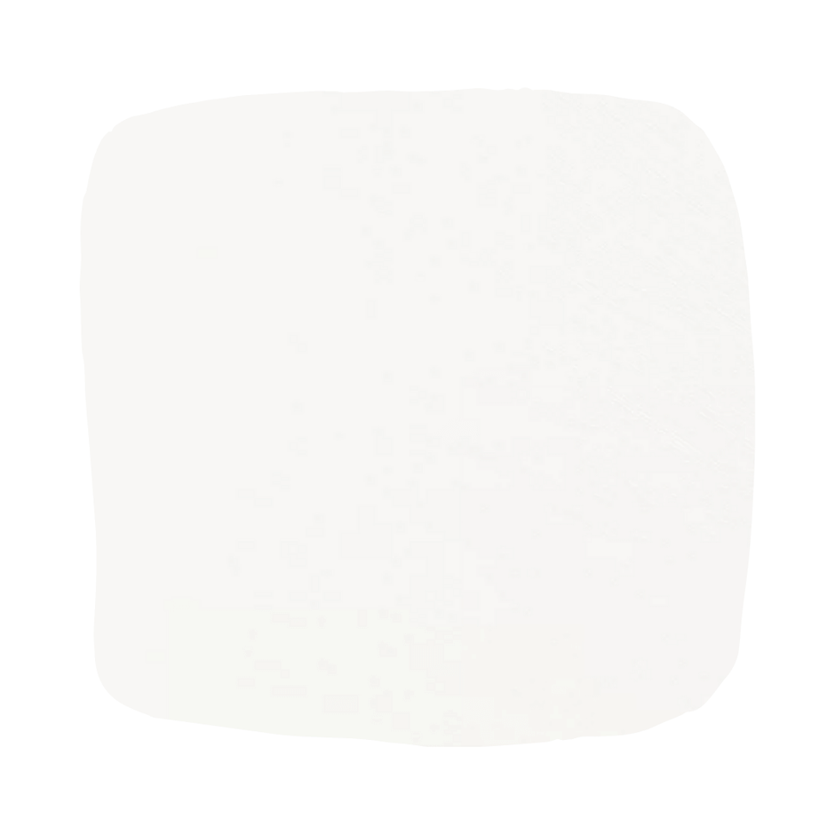 Color Atelier | Limewash Paint | Eco-Friendly Textured Mineral Paint